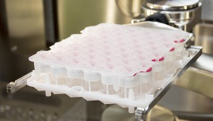 SCHOTT AG, Araymondlife, Vanrx Pharmasystems Announce Product ...