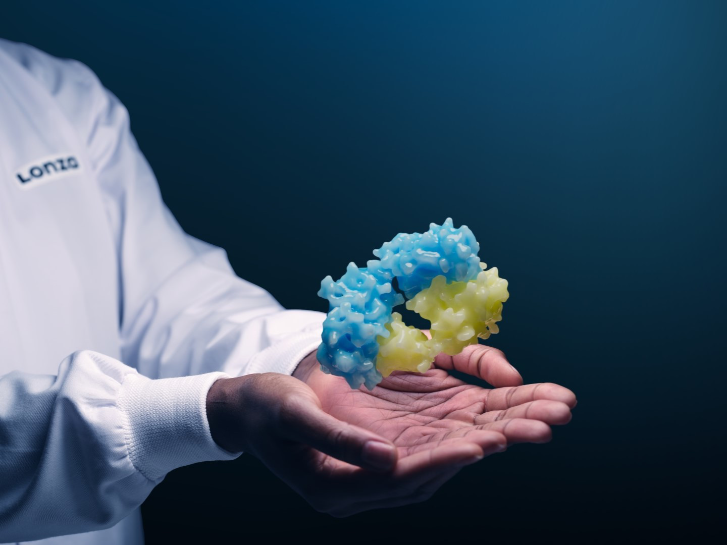 API A Comprehensive and Flexible Approach to CMC for Fab and Fc-Fusion ...