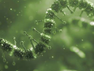 Optimizing Safety in ADCs and RNA-Based Therapies Using MTD Testing ...