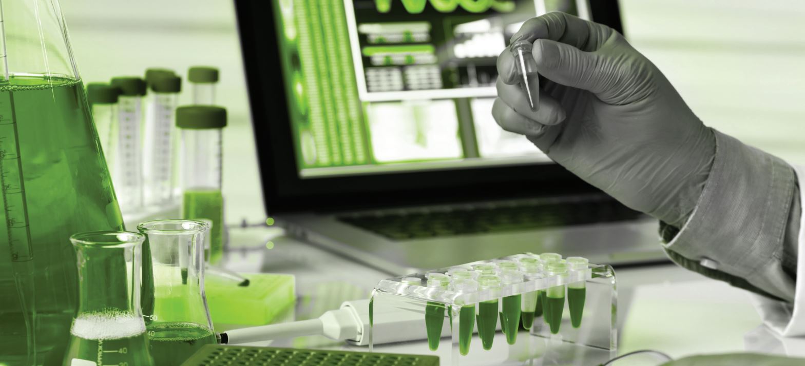 Cell Panel Development for in vitro Screening | Pharmaceutical ...